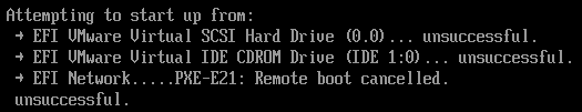 Error: PXE-E21: "Remote boot canceled" when PXE booting