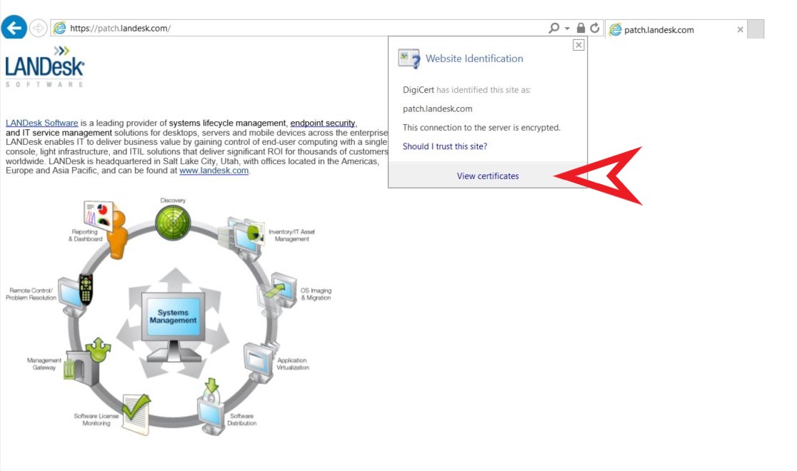 Invalid Certificate Error When Downloading Definitions.