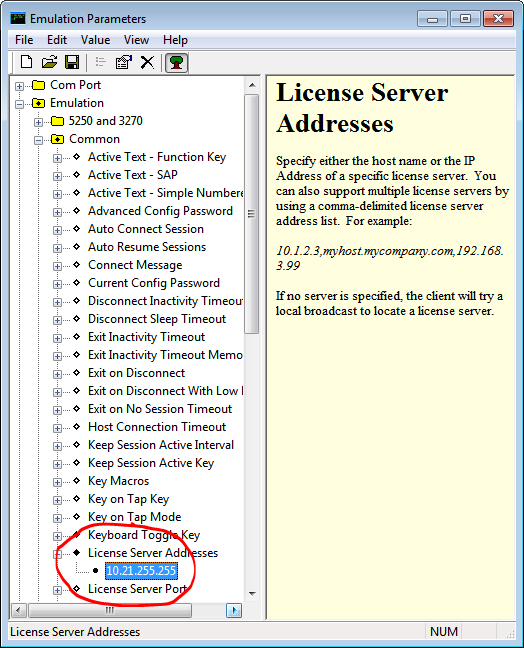 How to set up the Emulation License Server